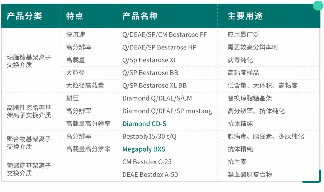 为什么超过70%的生物制药层析工艺都选择它？——离子交换层析全解析丨博格隆（Bestchrom）官网